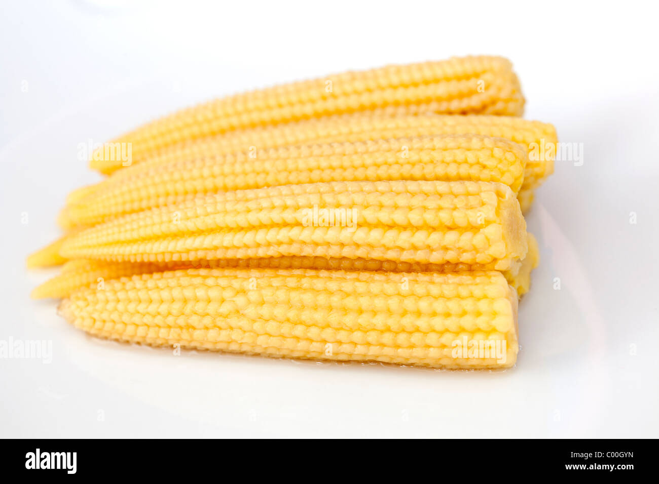 Young small corn closeup view Stock Photo - Alamy