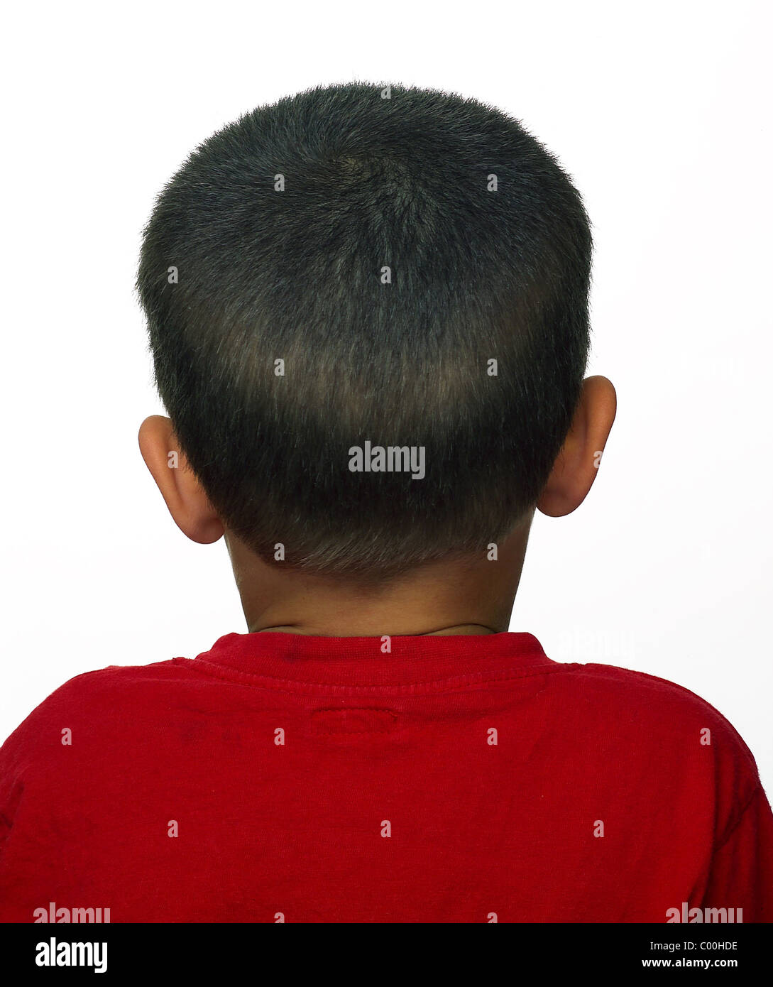 Back of red head hi-res stock photography and images - Alamy