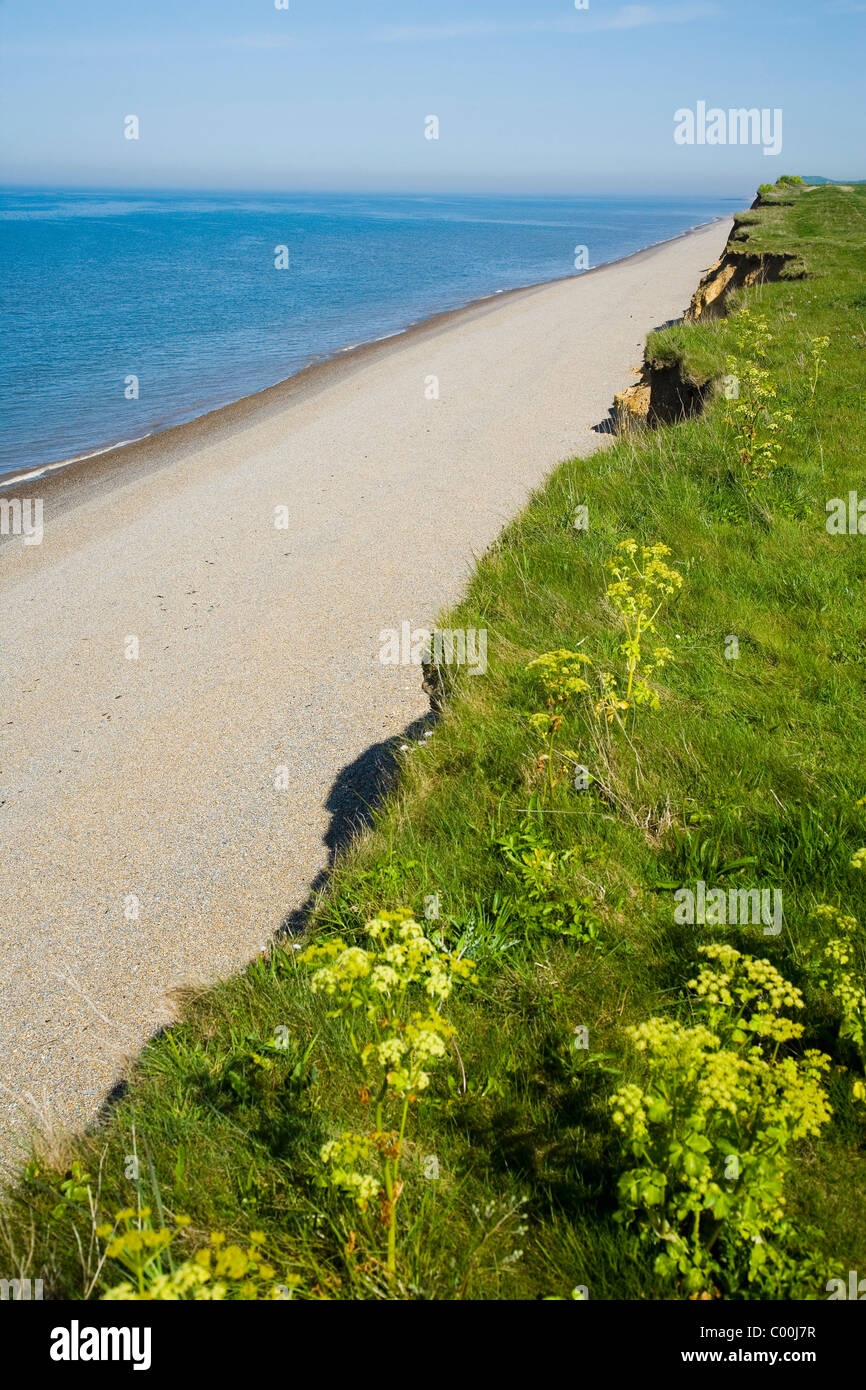Weybourne beach's cliff Stock Photo - Alamy