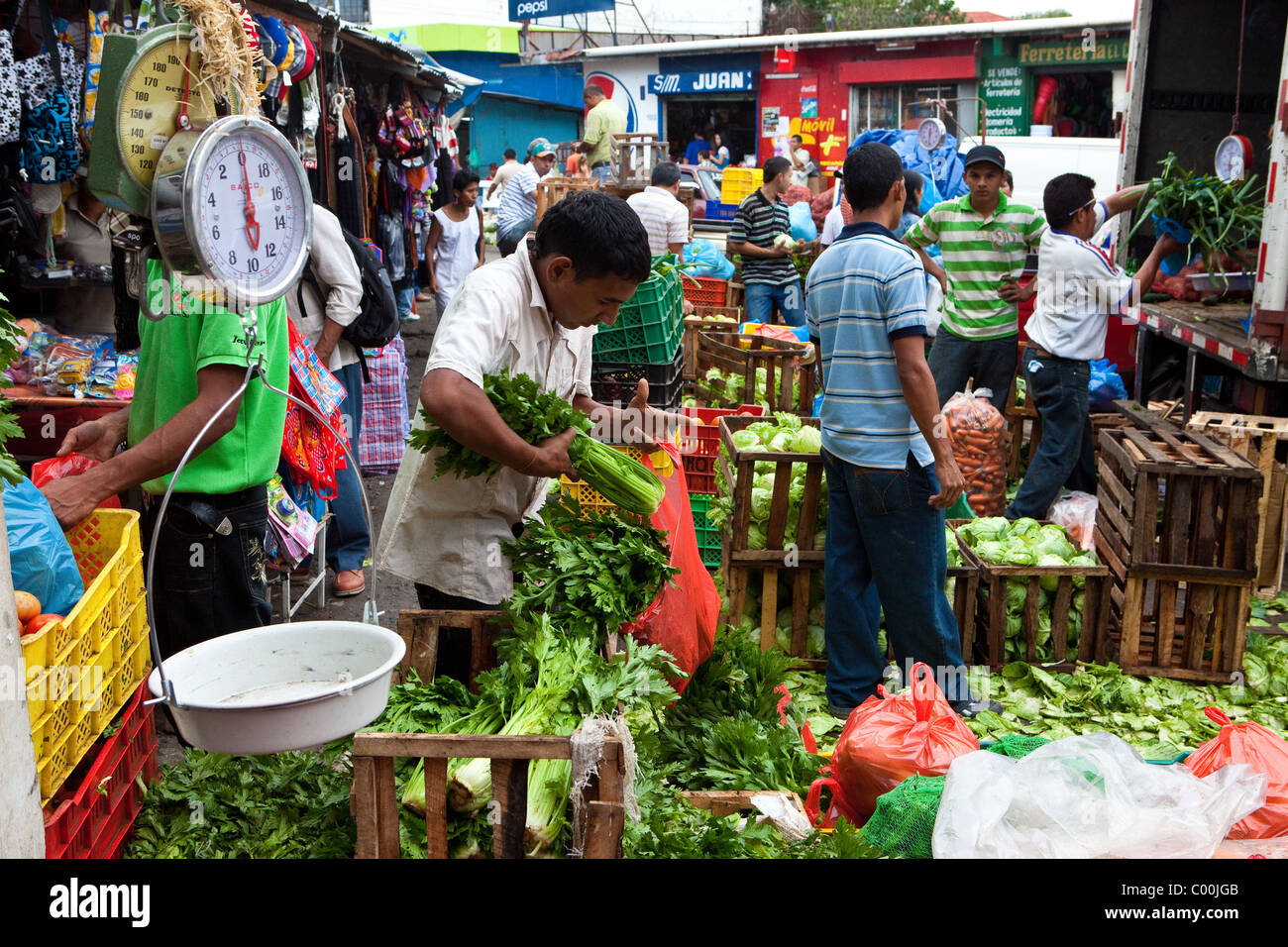 Panama Fruits Stock Photos & Panama Fruits Stock Images - Alamy