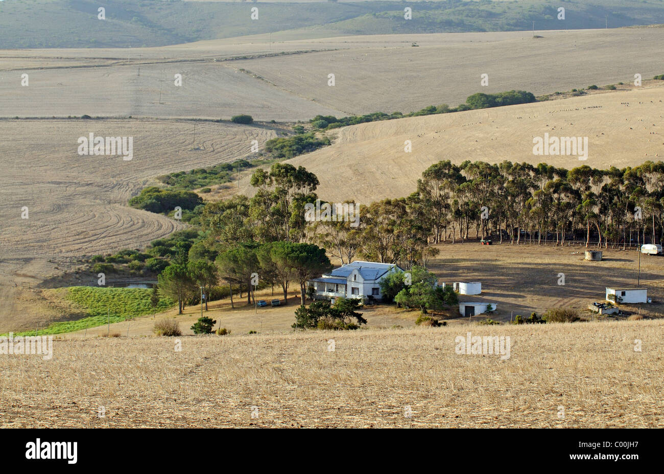 Rural farm in the wheatlands region close to Swellendam western cape ...