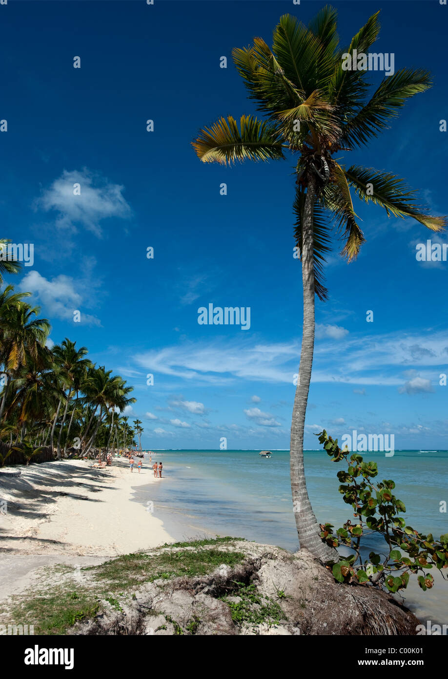 Bavaro Beach, Dominican Republic Stock Photo - Alamy