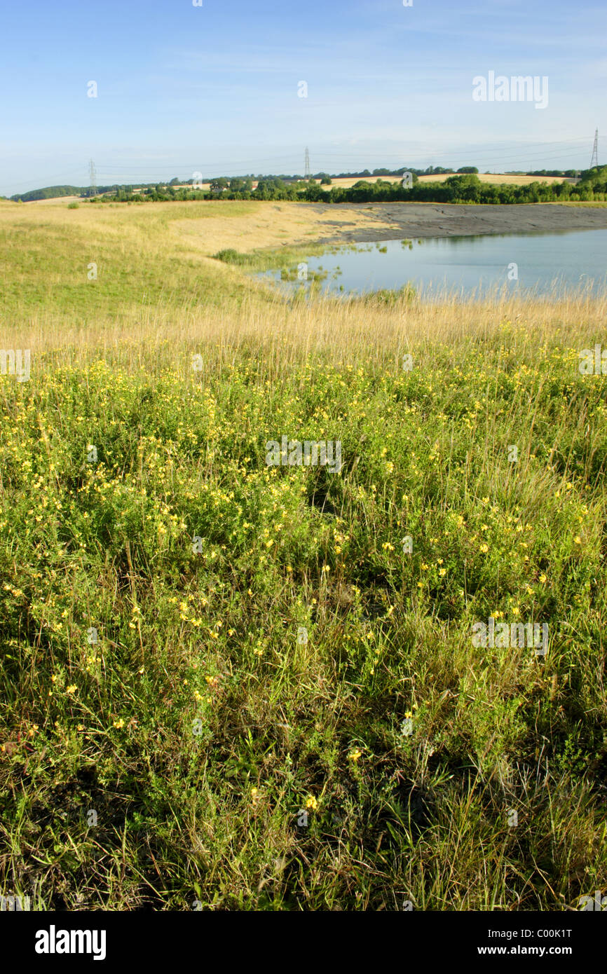 Fairburn ings nature reserve hi-res stock photography and images - Alamy