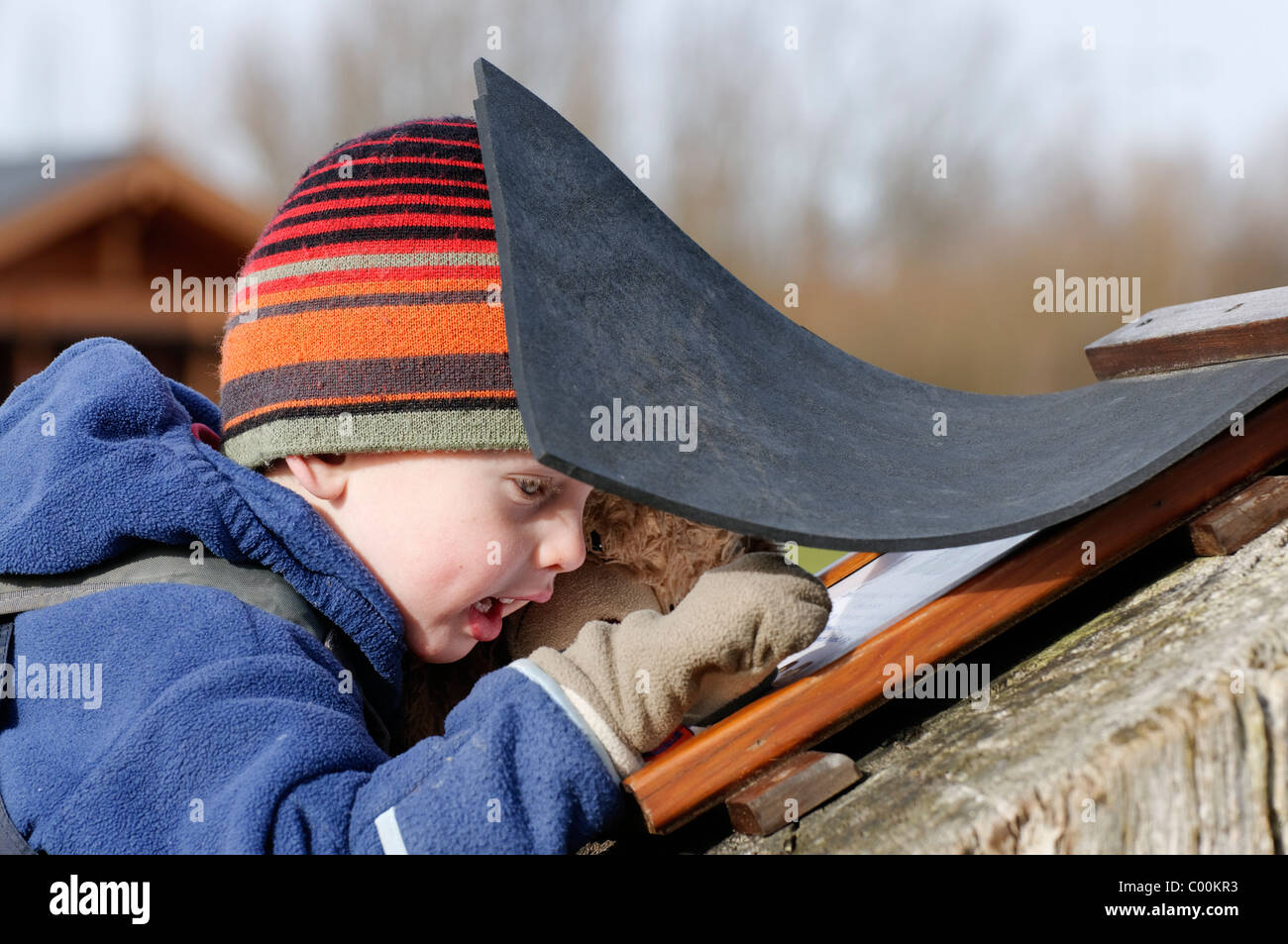A young boy on a nature trail at Conwy RSPB reserve Stock Photo - Alamy