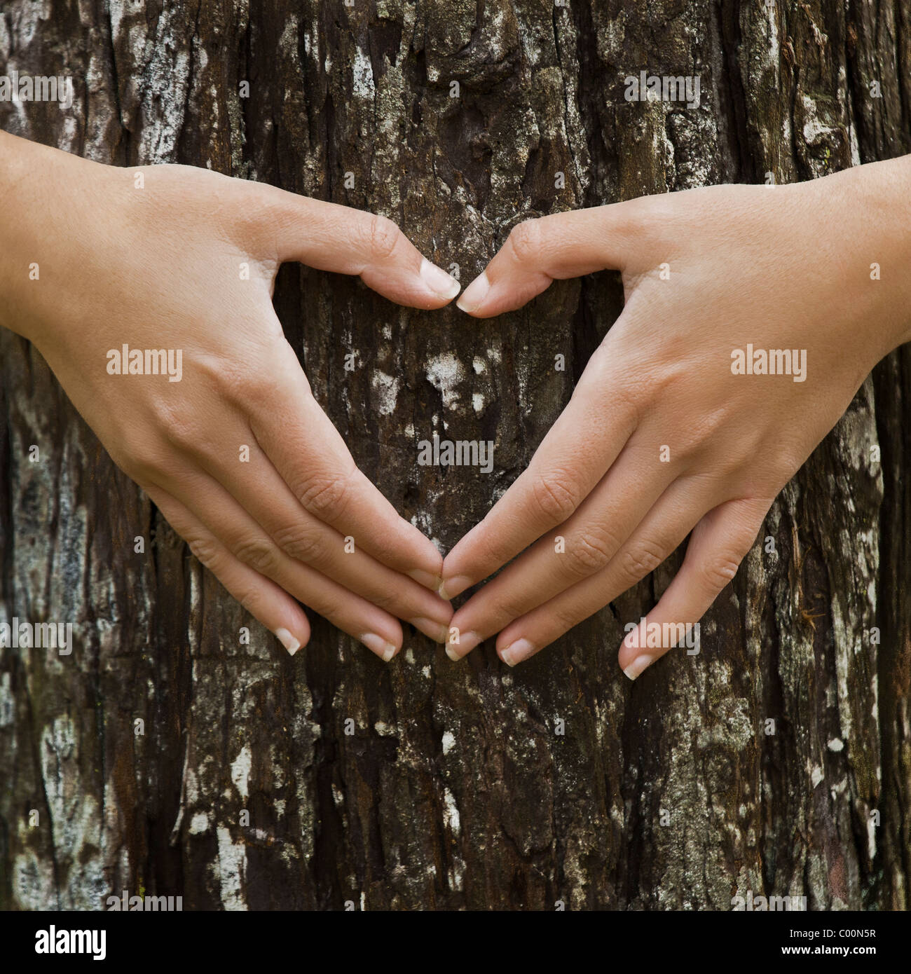 Heart sign tree hi-res stock photography and images - Alamy