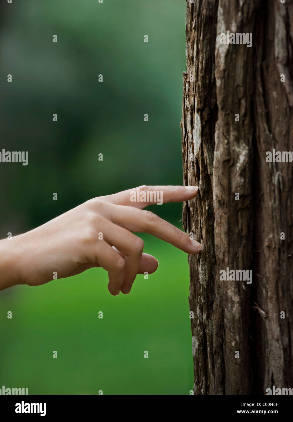 Clawing tree hi-res stock photography and images - Alamy