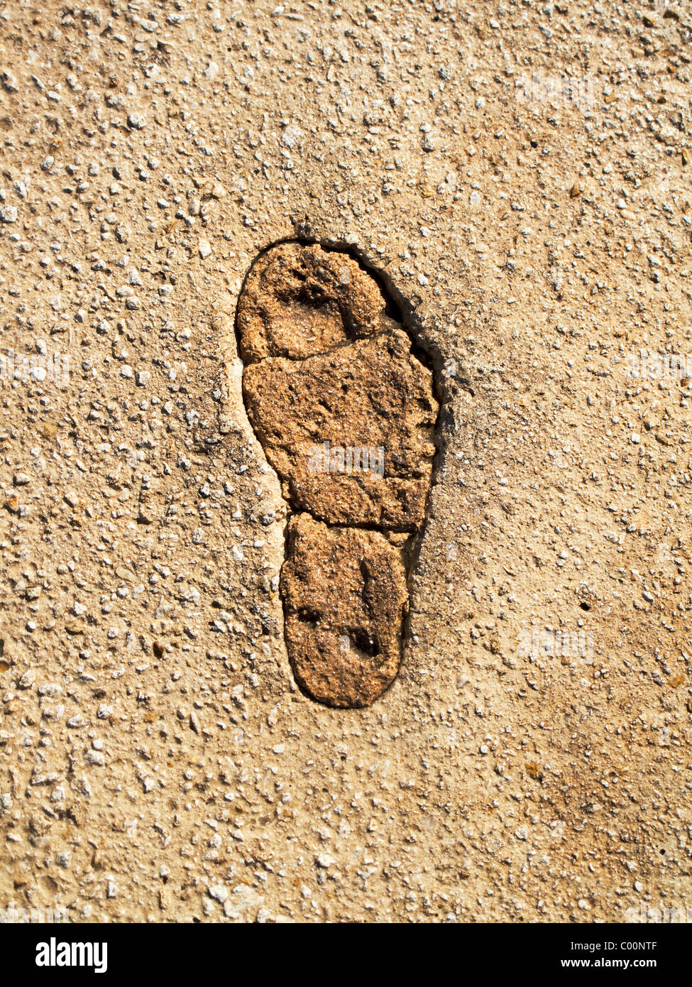 Single foot print in a road - detail Stock Photo - Alamy