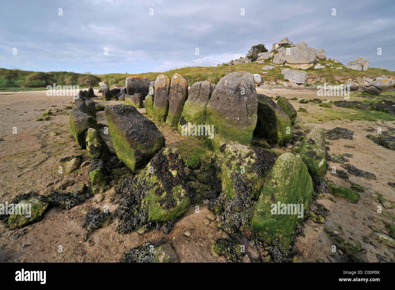 Neolithic tomb / gallery grave / passage grave of Guinirvit, Bay of ...