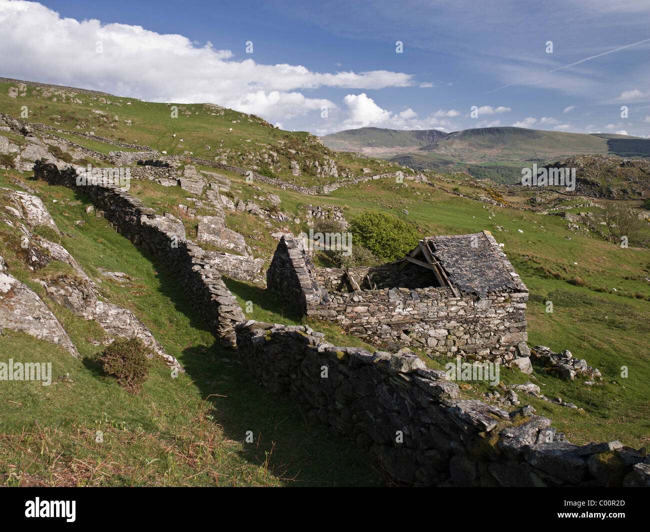 The ruins of an old barn in the Snowdonia National Park near BArmouth ...
