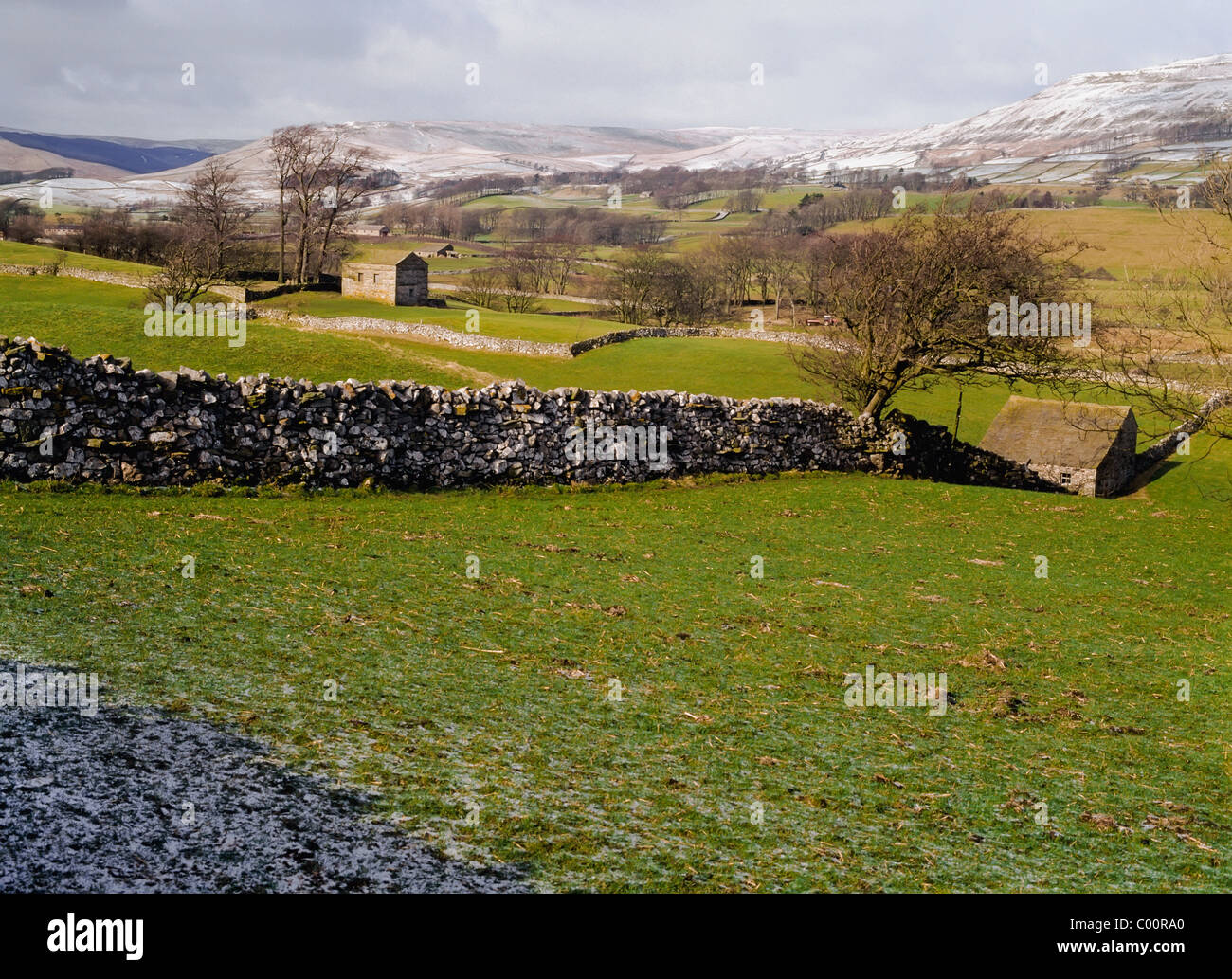 Stone wall and hedge hi-res stock photography and images - Alamy
