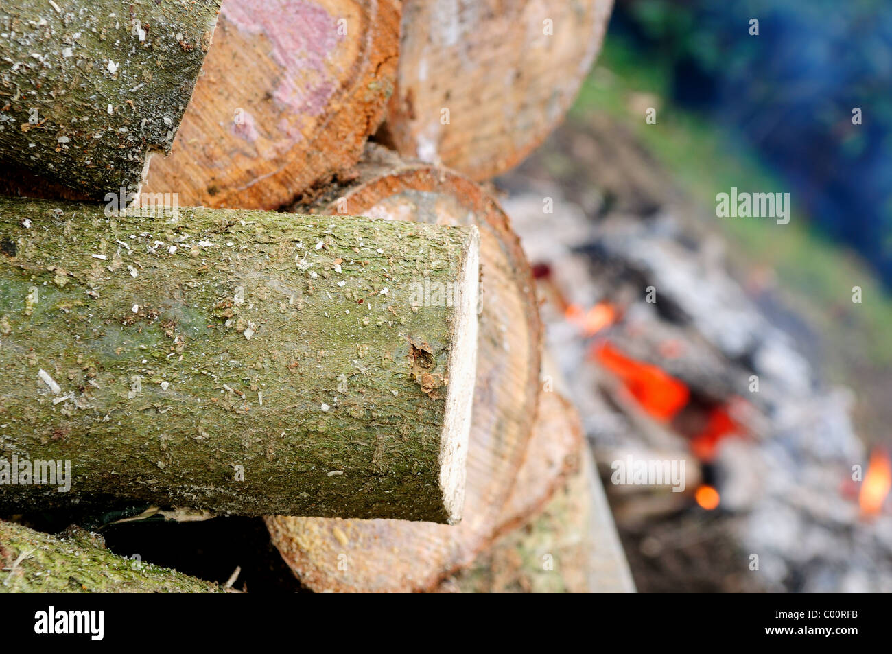 Burning Wood Garden Bonfire Stock Photo - Alamy
