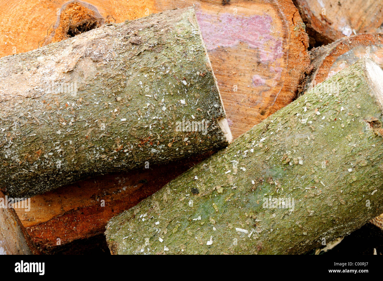 Burning Wood Garden Bonfire Stock Photo - Alamy