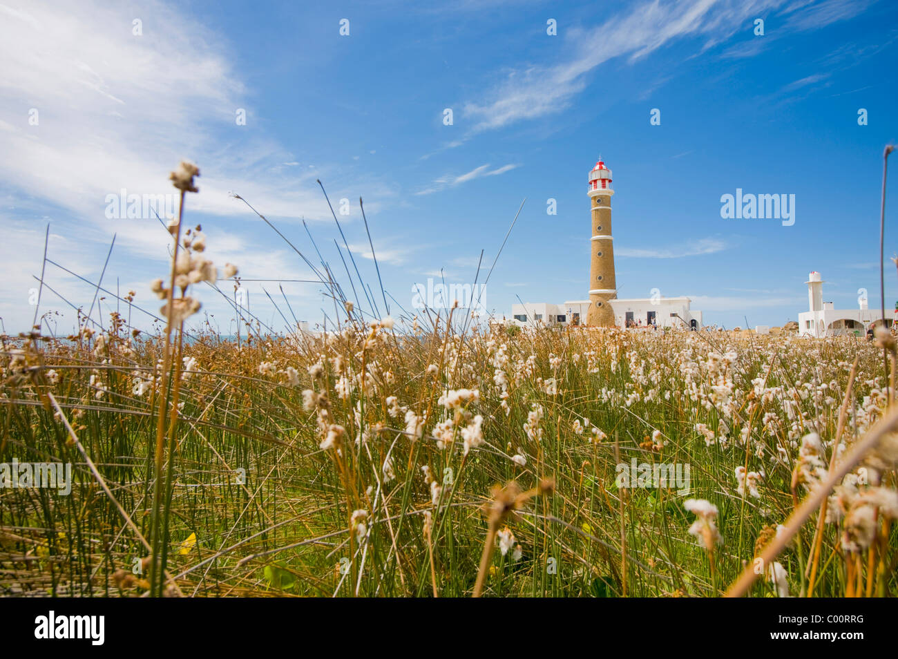 Seen from a hi-res stock photography and images - Alamy