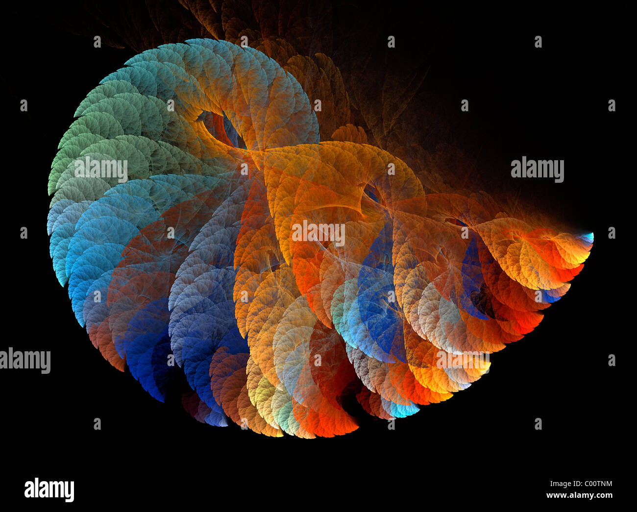 Fractal Shell High Resolution Stock Photography and Images - Alamy