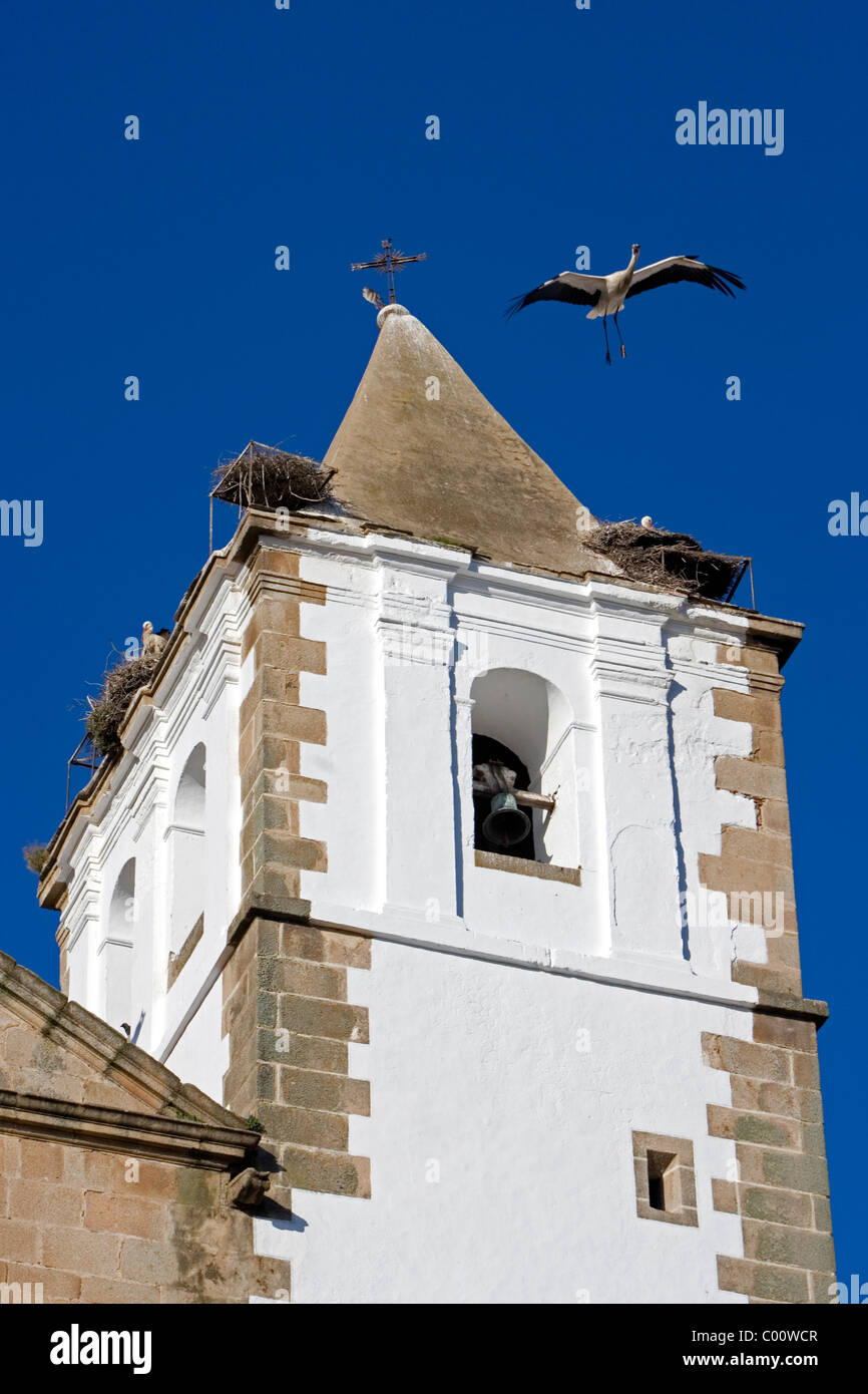 Storks of spain hi-res stock photography and images - Alamy