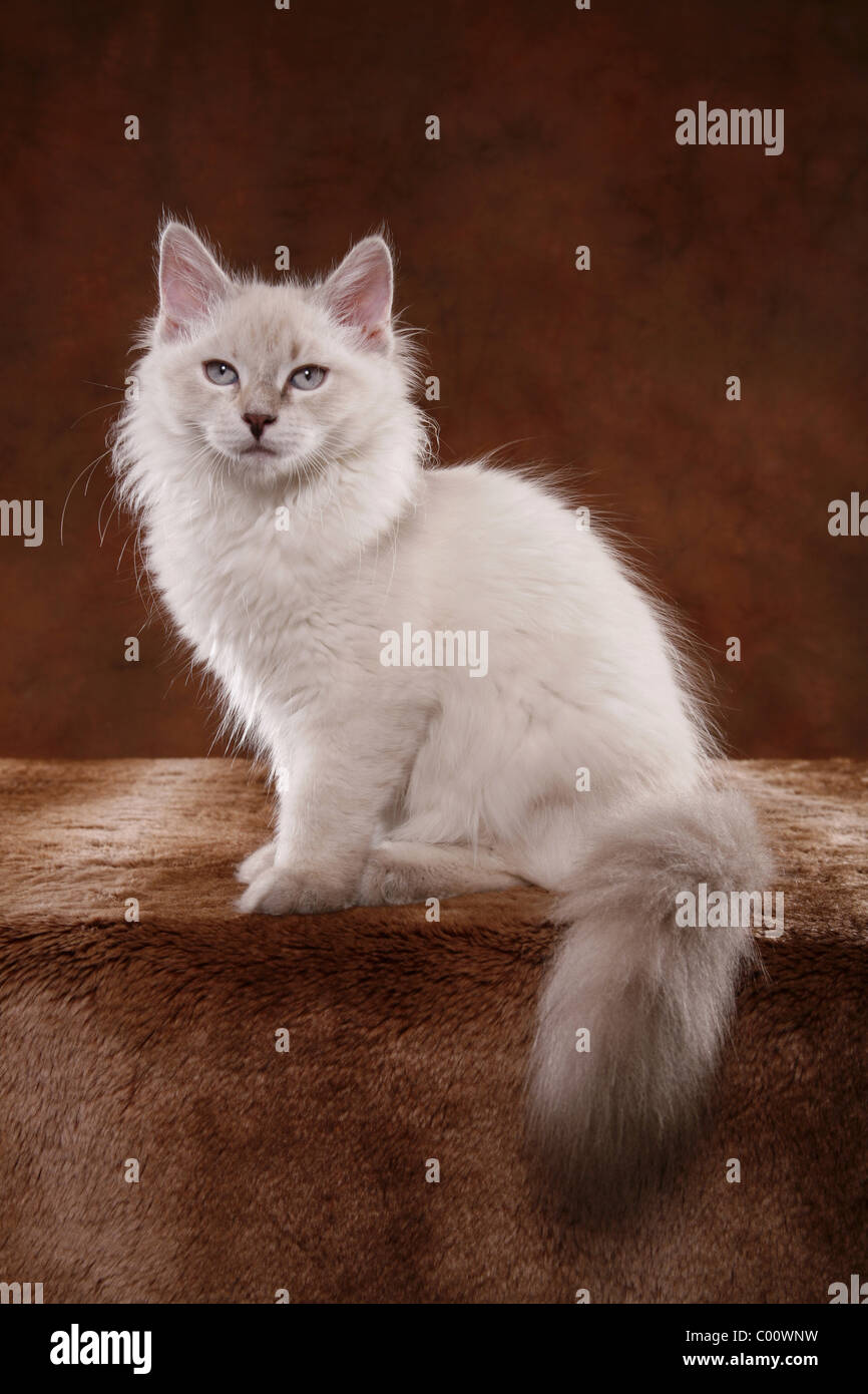 15907 hi-res stock photography and images - Alamy