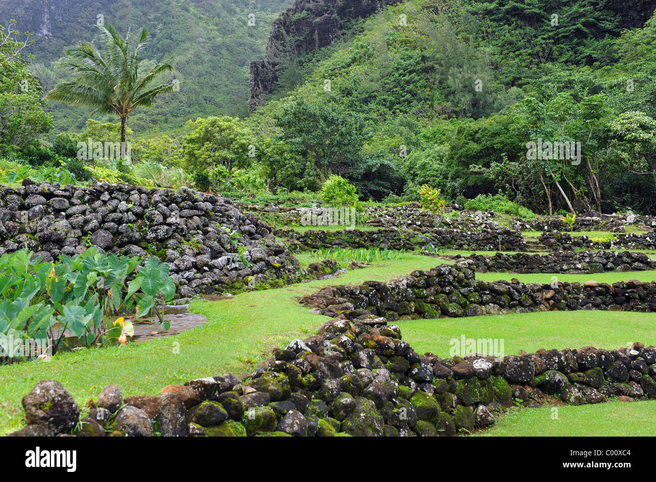 Limahuli garden hi-res stock photography and images - Alamy
