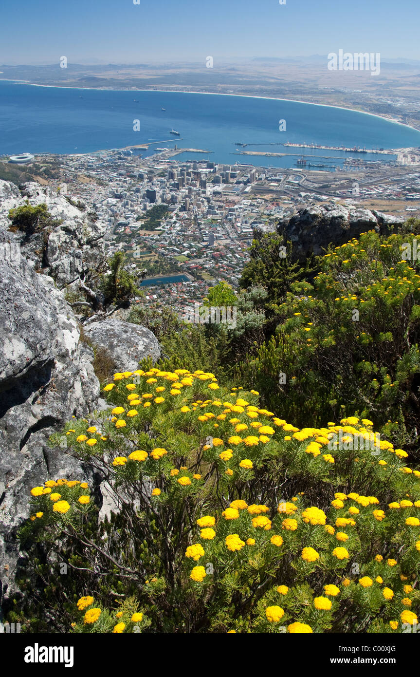 South Africa, Cape Town, Table Mountain. View from the top of Table ...
