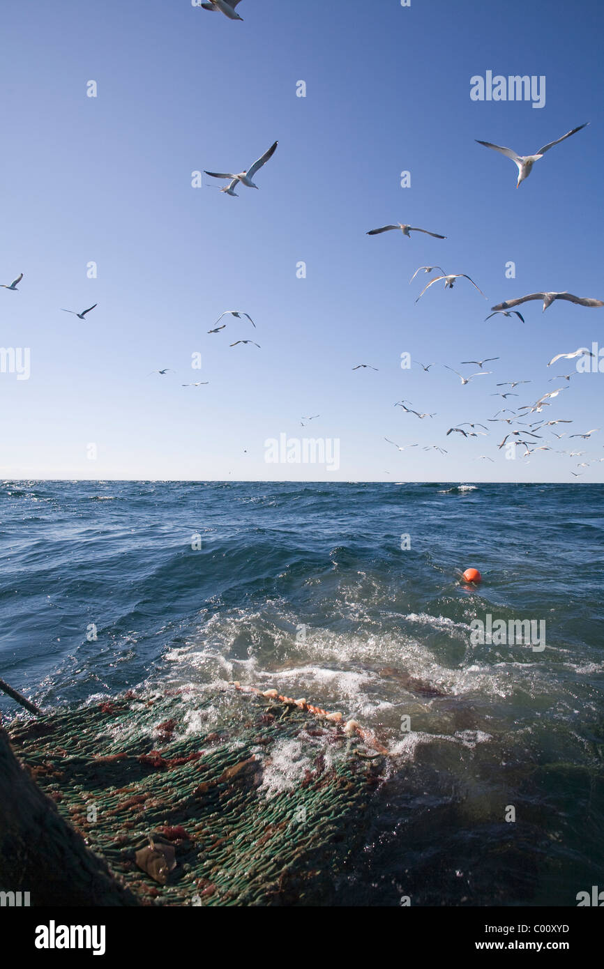 Hauling fish boat hi-res stock photography and images - Alamy