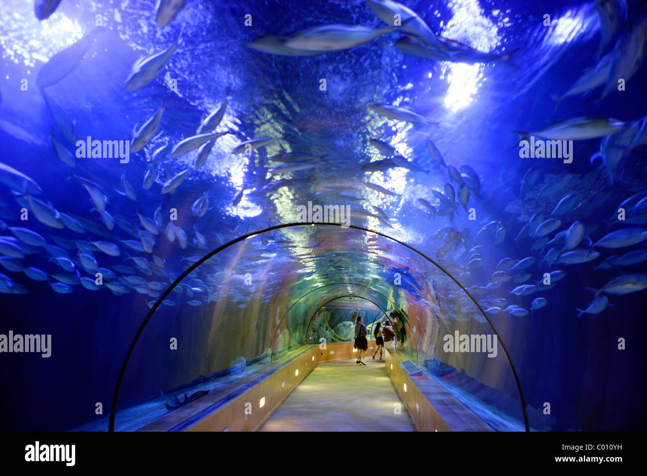 L'Oceanografic, City of Arts and Sciences, Valencia, Spain Stock Photo ...