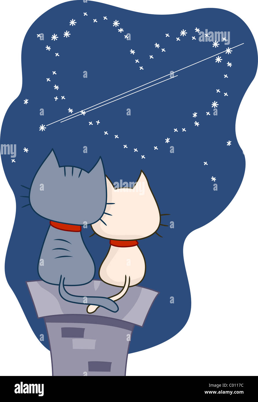 Illustration of a Pair of Cats Gazing at the Night Sky Stock Photo - Alamy