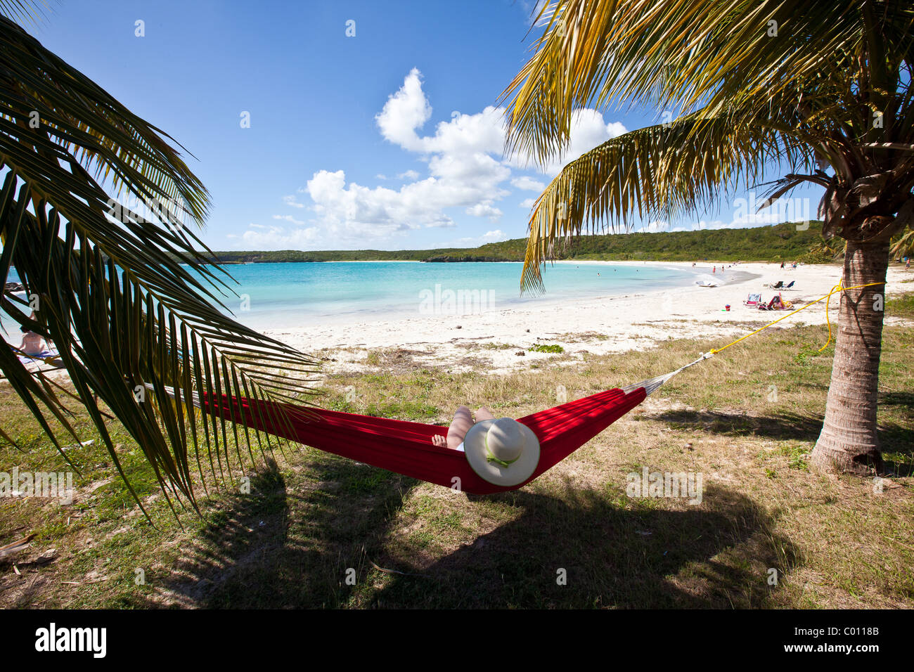 Relaxing in beach hammock High Resolution Stock Photography and Images ...
