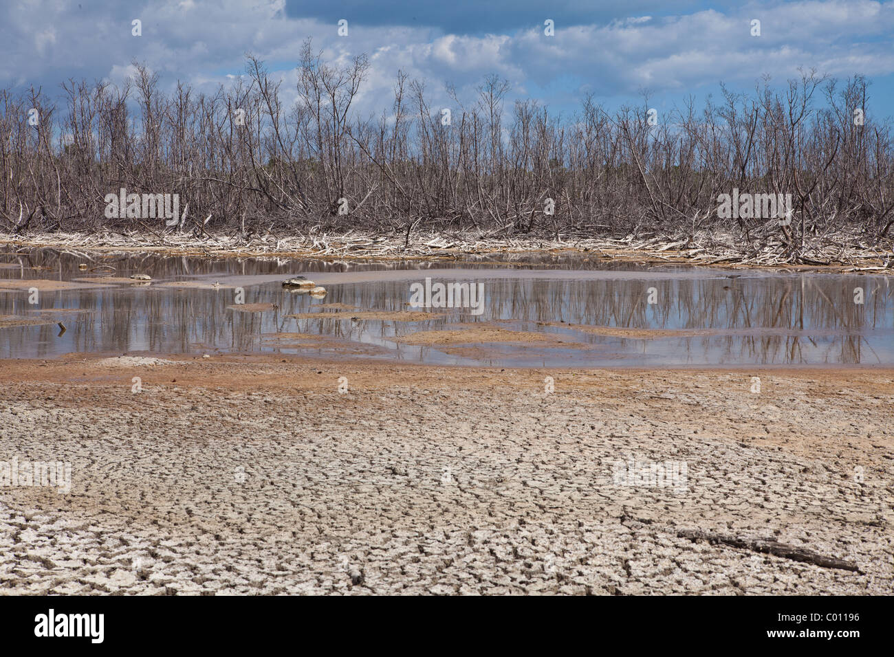 Dry salt flats at Cabo Rojo wildlife preserve Puerto Rico Stock Photo ...