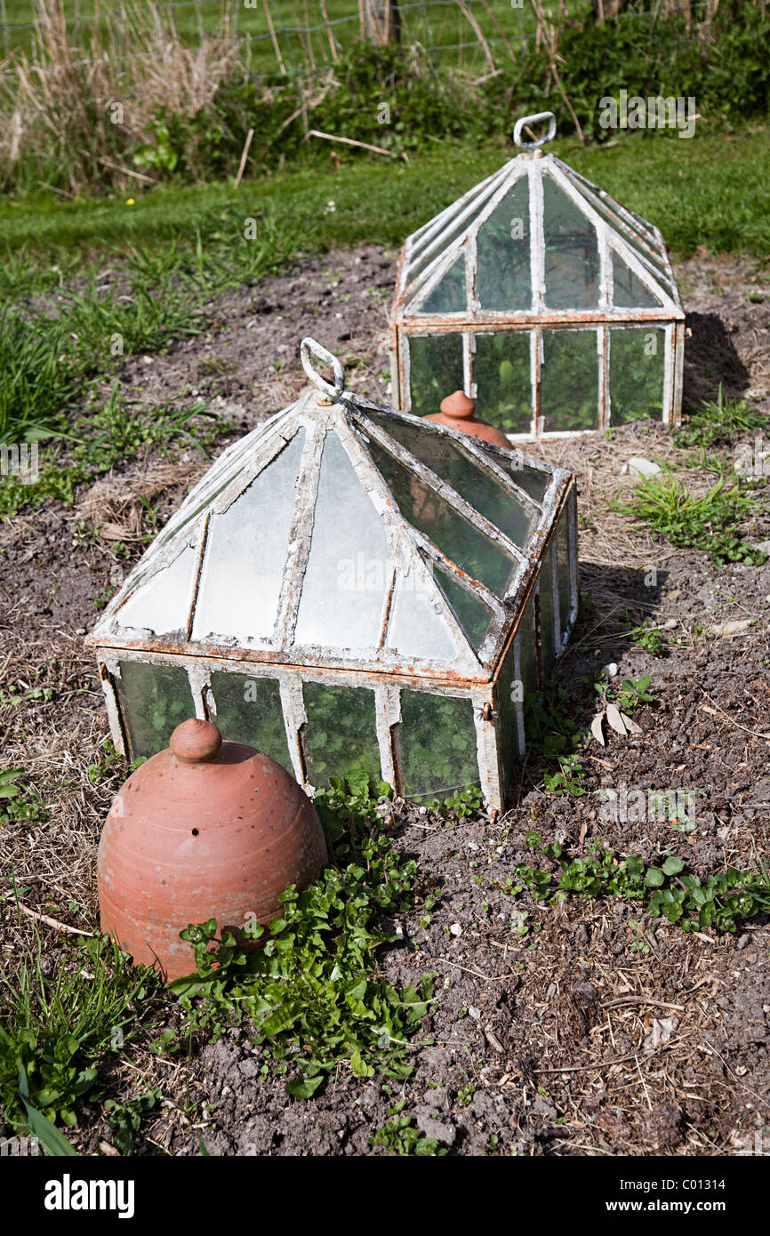 Glass garden cloche hi-res stock photography and images - Alamy