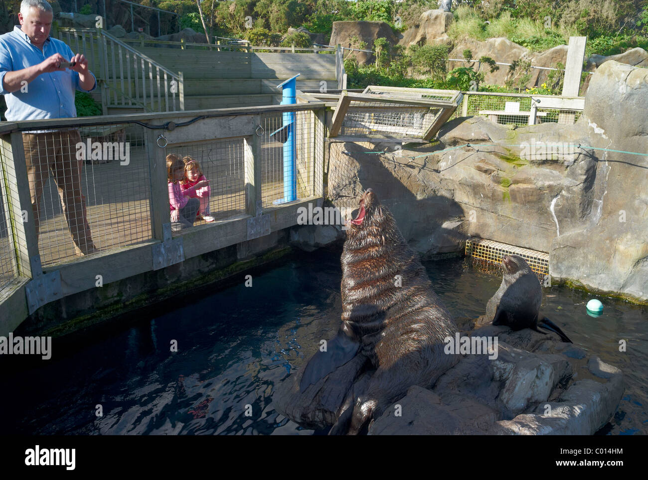 Living coasts zoo in torquay hi-res stock photography and images - Alamy