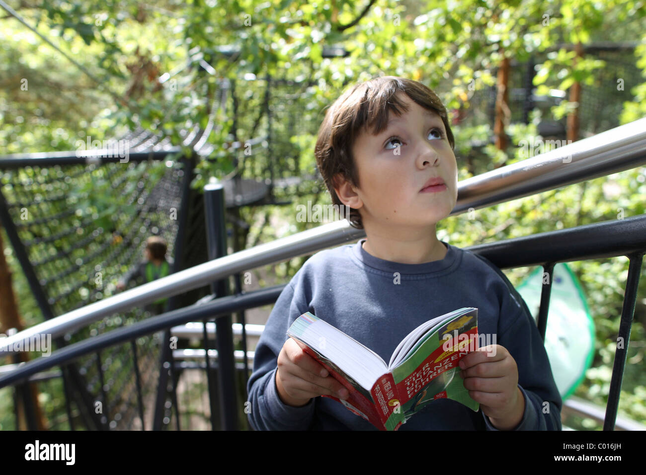 Boy with a nature study book on the tree-top walk Fischbach an der Dahn ...