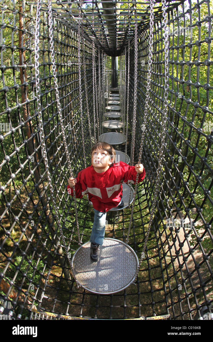 Tree top canopy hi-res stock photography and images - Alamy