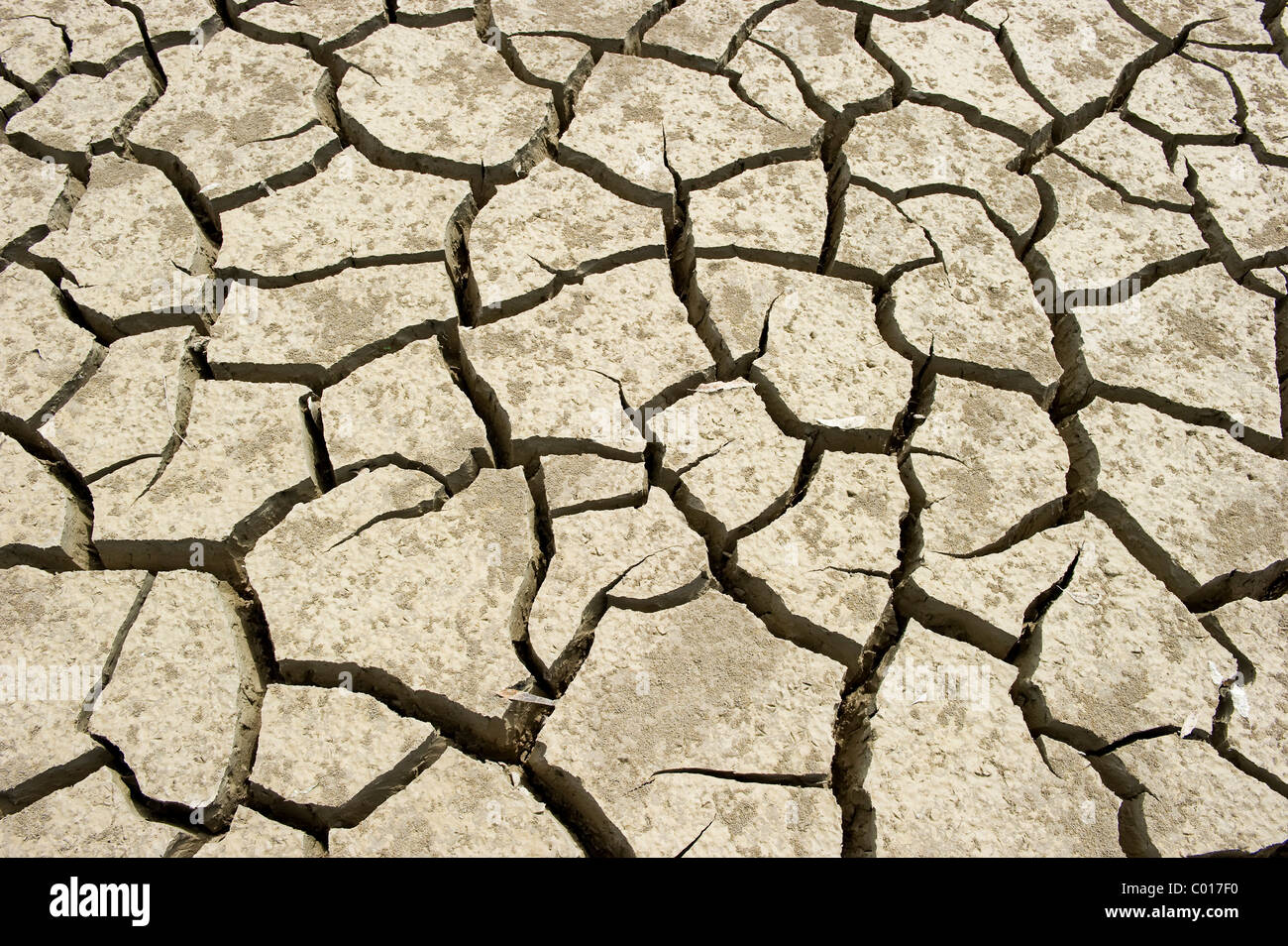 Parched lake hi-res stock photography and images - Alamy