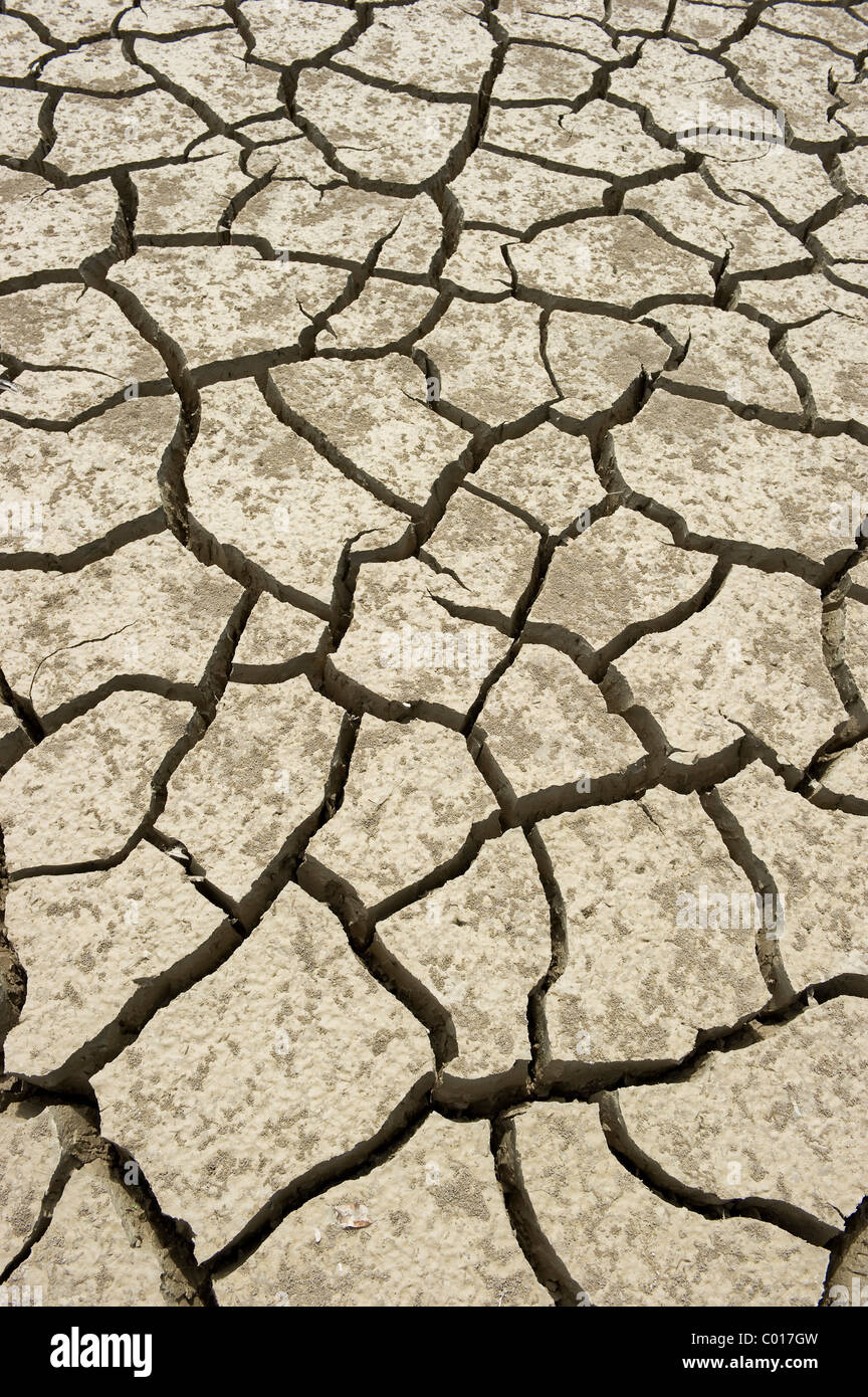 Parched ground hi-res stock photography and images - Alamy