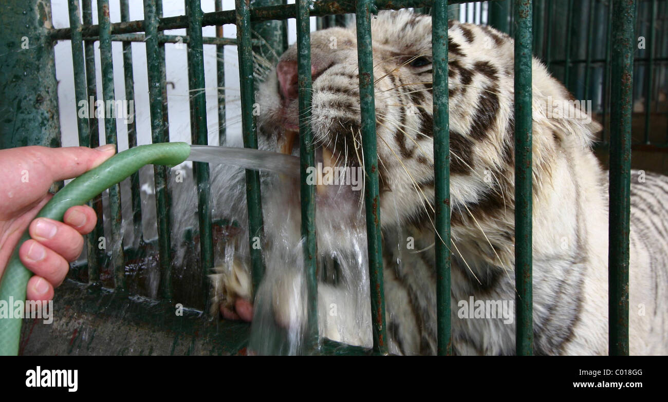 Hangzhou zoo hi-res stock photography and images - Alamy