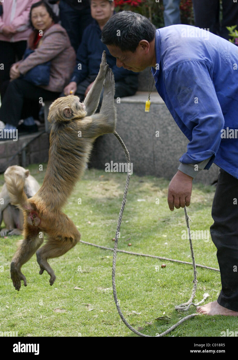 * MONKEY AROUND A cheeky monkey entertains the crowds by performing ...