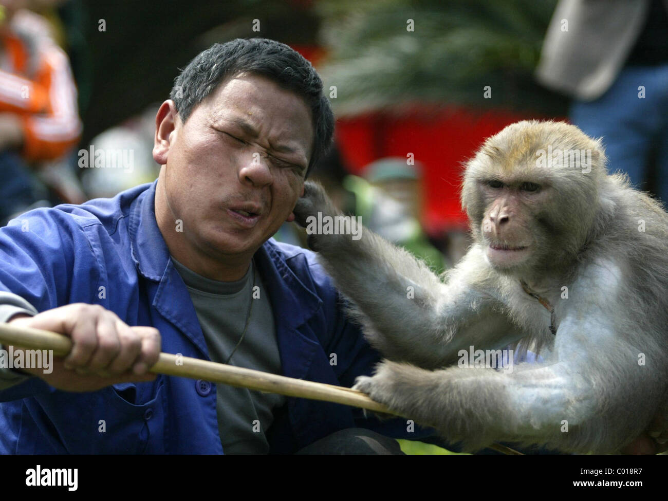 * MONKEY AROUND A cheeky monkey entertains the crowds by performing ...