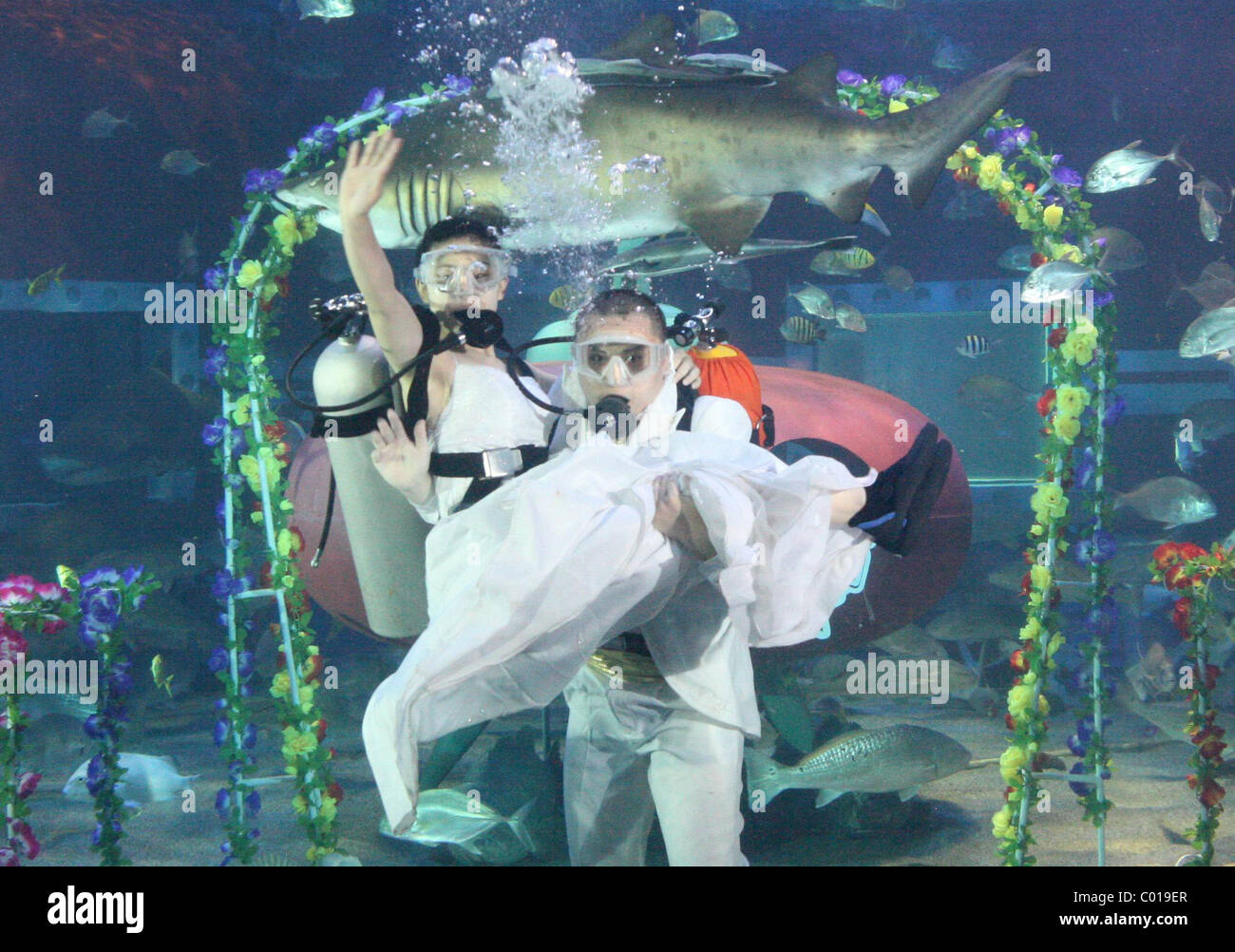 WATER WEDDING A pair of newlyweds tie the knot underwater. The ...