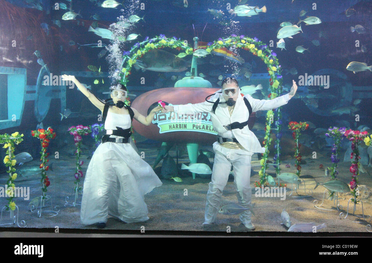 WATER WEDDING A pair of newlyweds tie the knot underwater. The ...