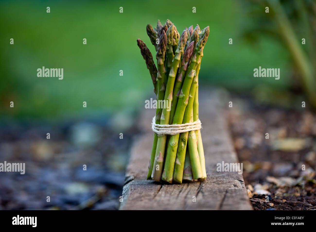 Tied bunch of vegetables hi-res stock photography and images - Alamy