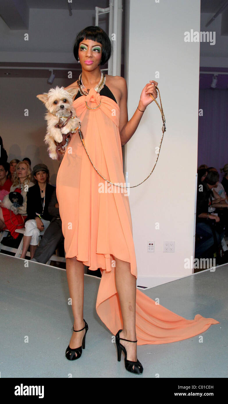 Runway Dogs Runway show for Pet Fashion Week New York. Pet Fashion Week ...