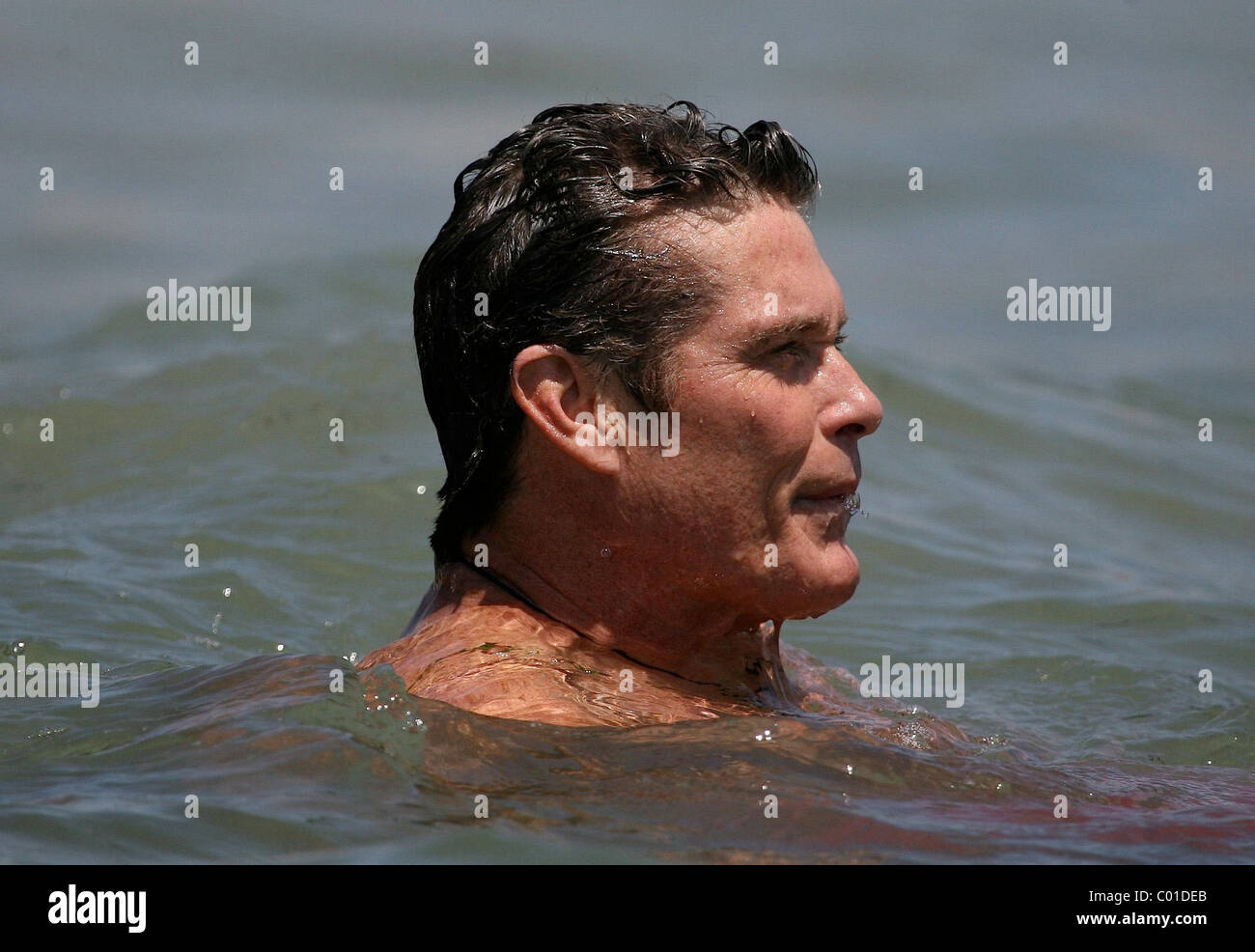 Baywatch star David Hasselhoff was back in the water working for his ...