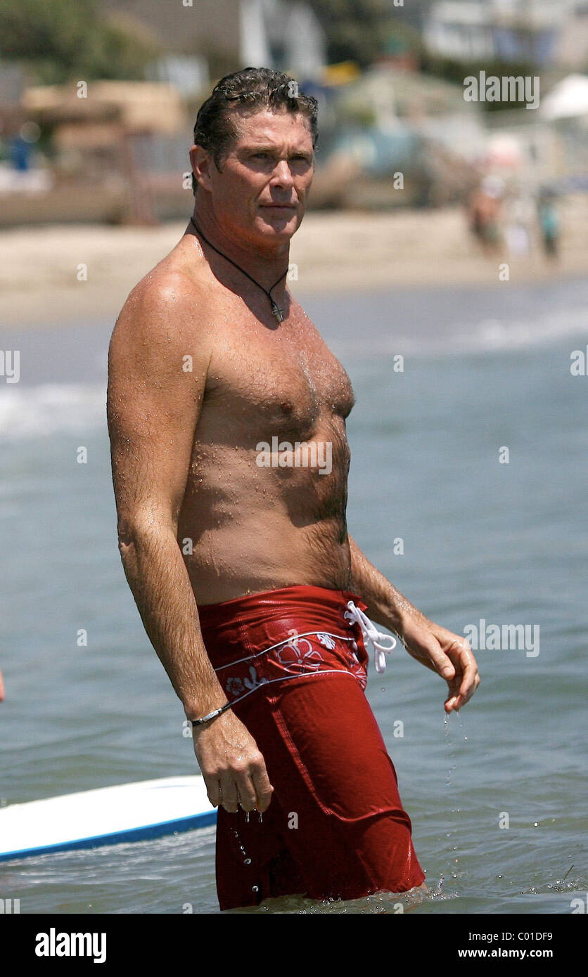 Baywatch star David Hasselhoff was back in the water working for his ...