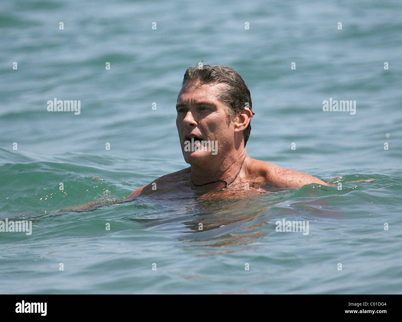 Baywatch star David Hasselhoff was back in the water working for his ...