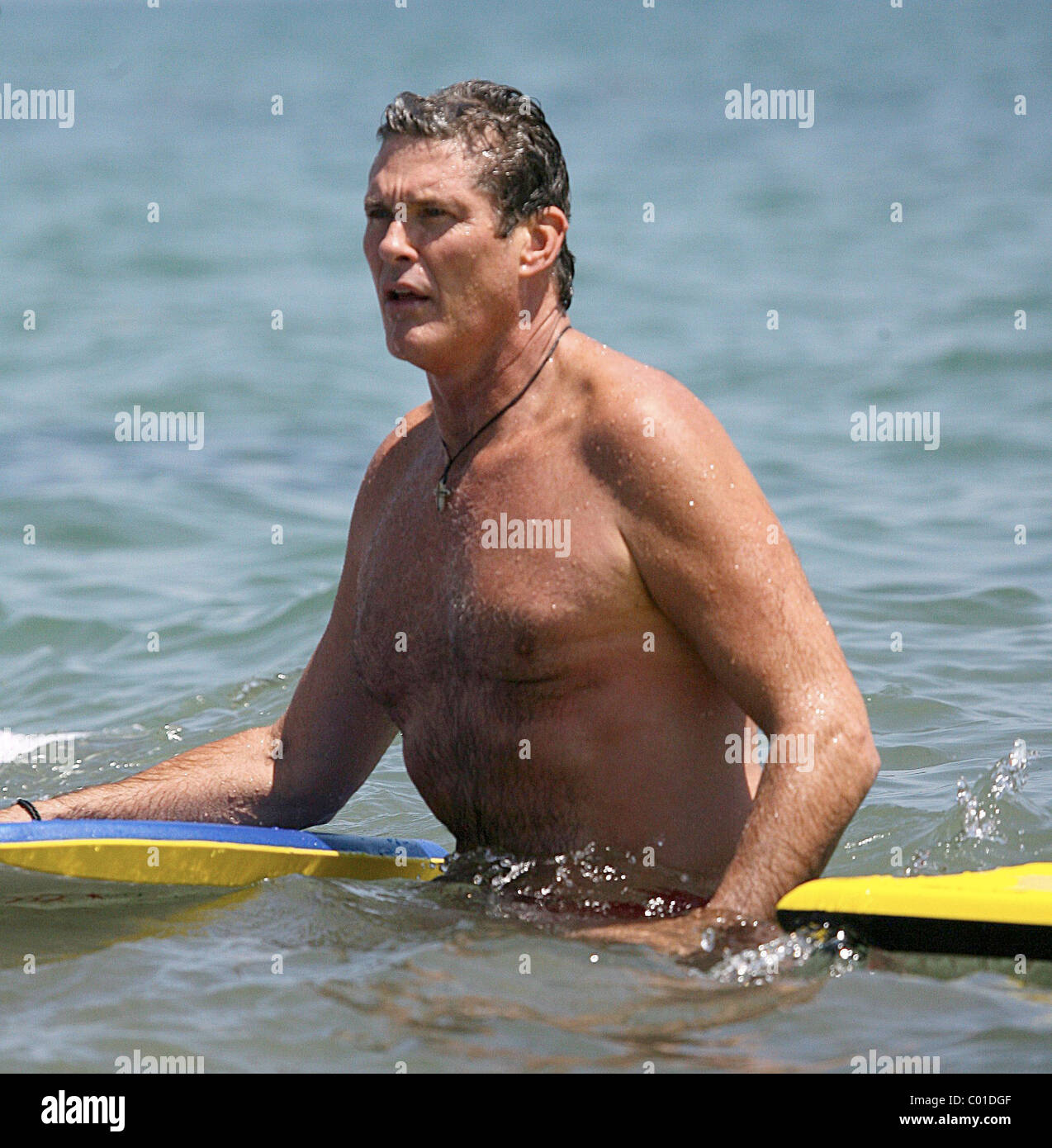 Baywatch star david hasselhoff back hi-res stock photography and images ...