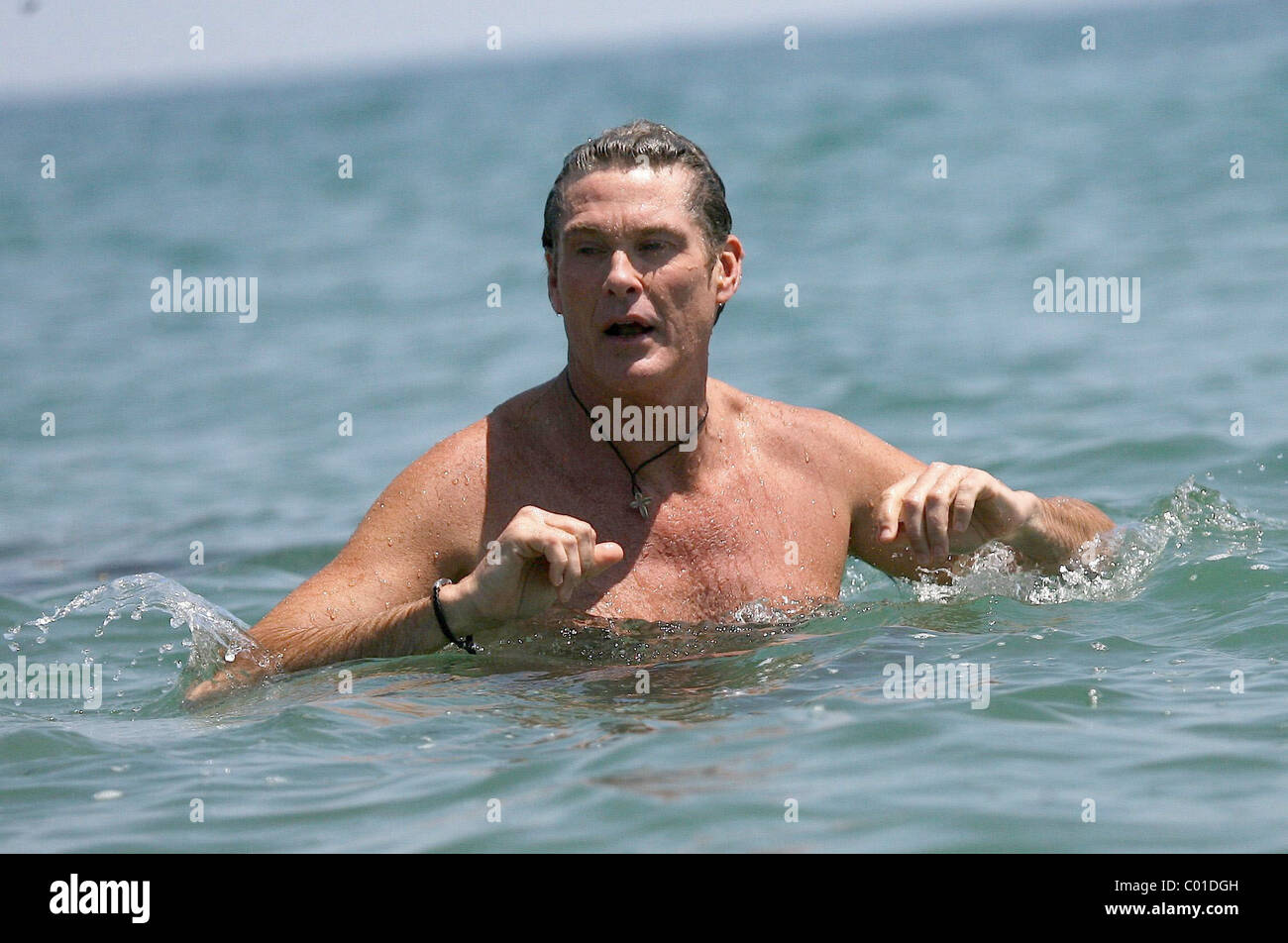 Baywatch star David Hasselhoff was back in the water working for his ...