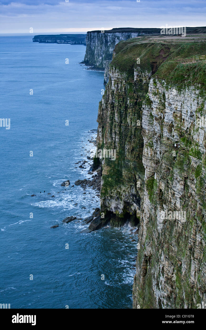 Cliffs at Bempton Stock Photo - Alamy