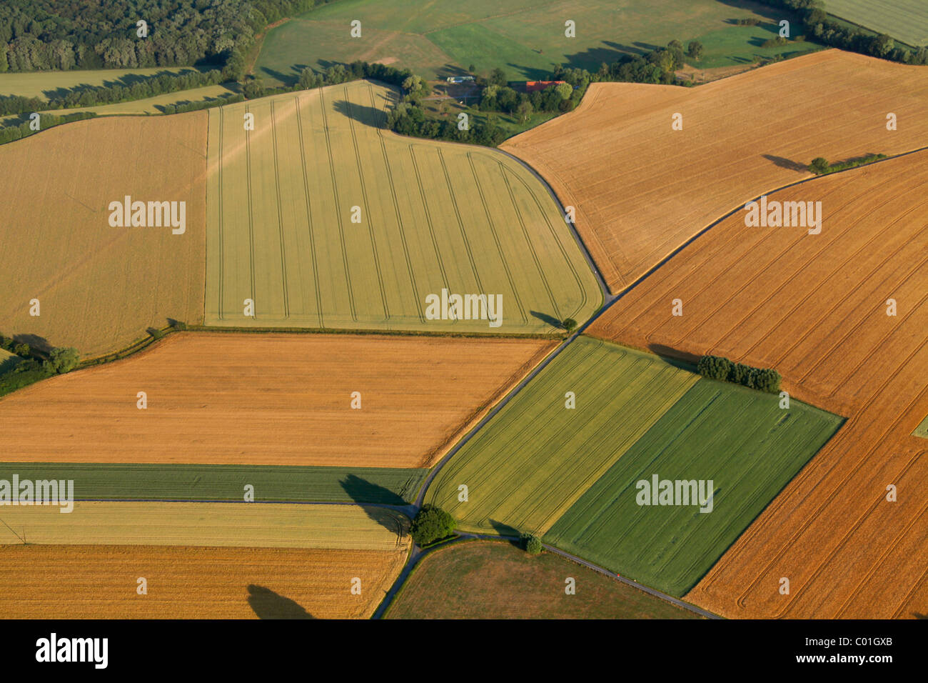 Aerial photo, corn fields, farming community of Altenboegge, Boenen ...