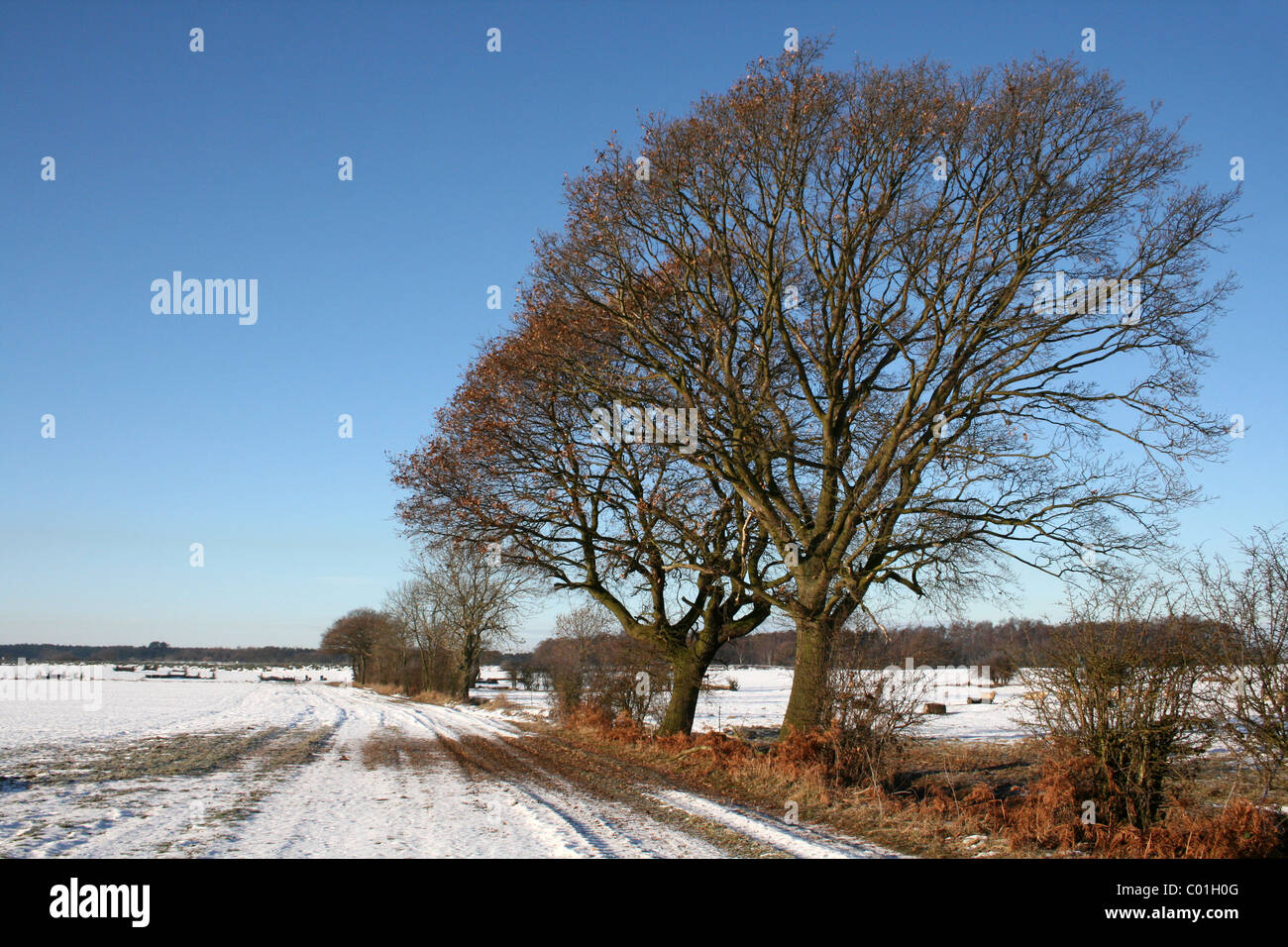 English countryside in snow hi-res stock photography and images - Alamy