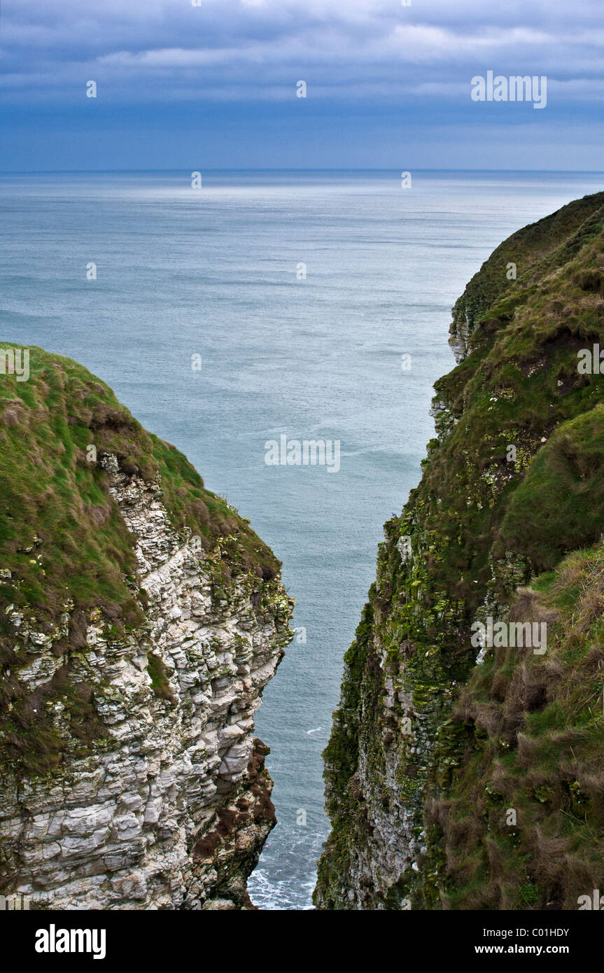 Cliffs at Bempton Stock Photo - Alamy
