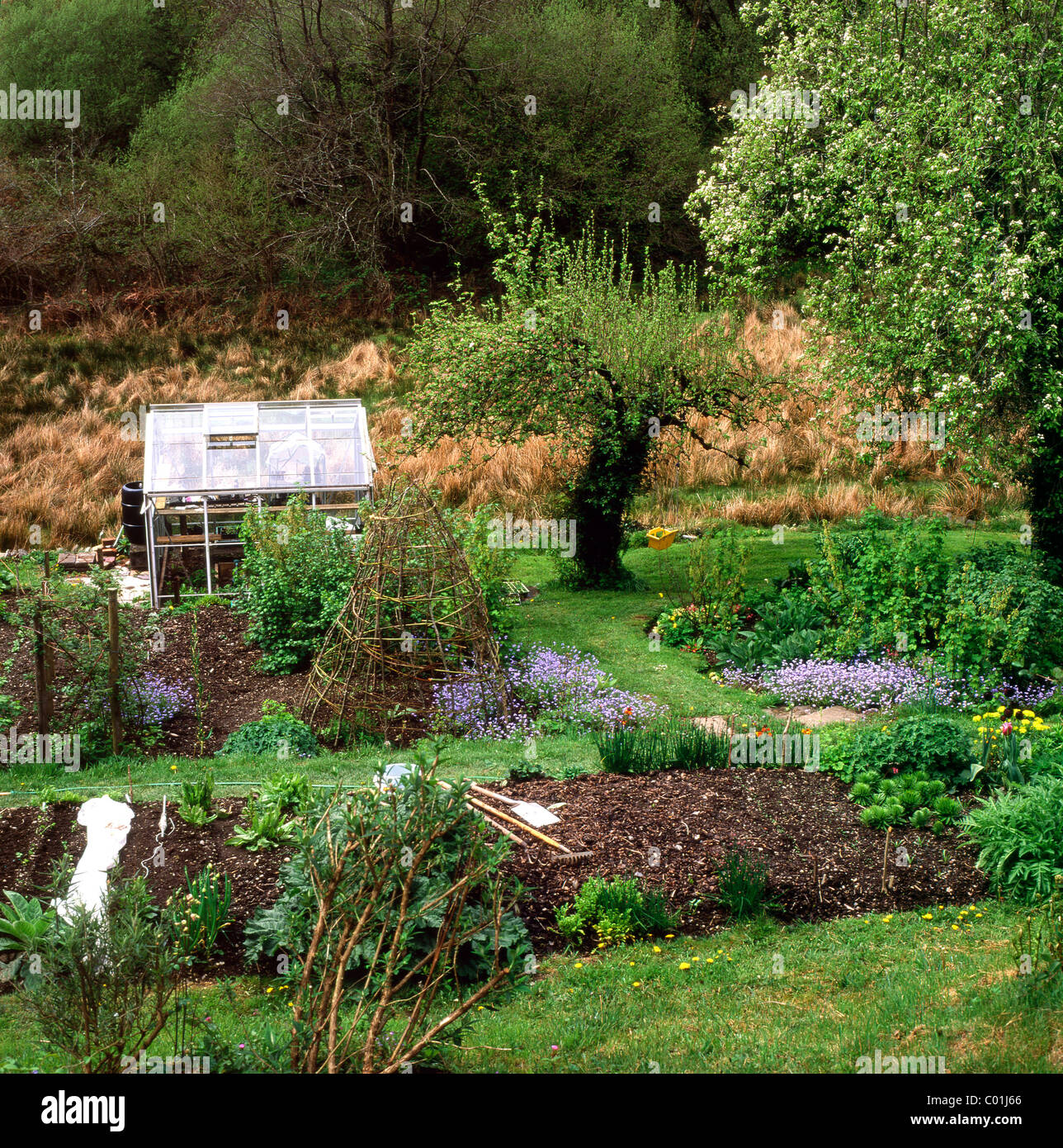 Perennials shrubs and annuals in garden hi-res stock photography and ...
